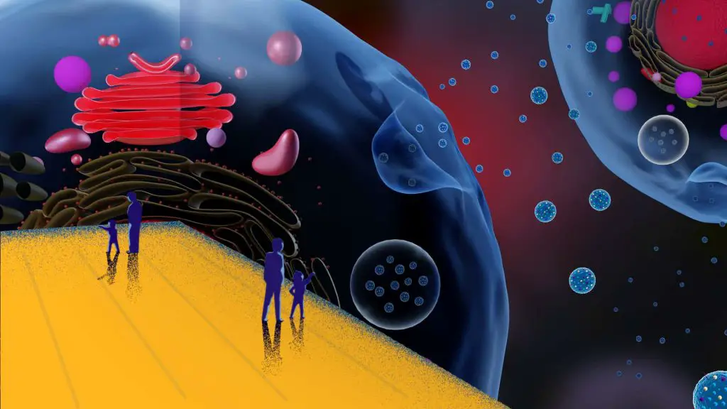 Exploring Different Types of Sanders And Their Uses